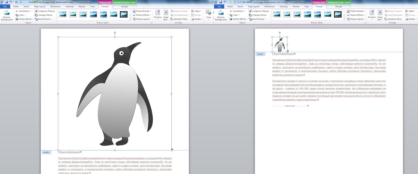Уроци на фотошоп, GIMP, MS Office, Scratch, HTML&CSS: MS WORD Insert Page Break Header