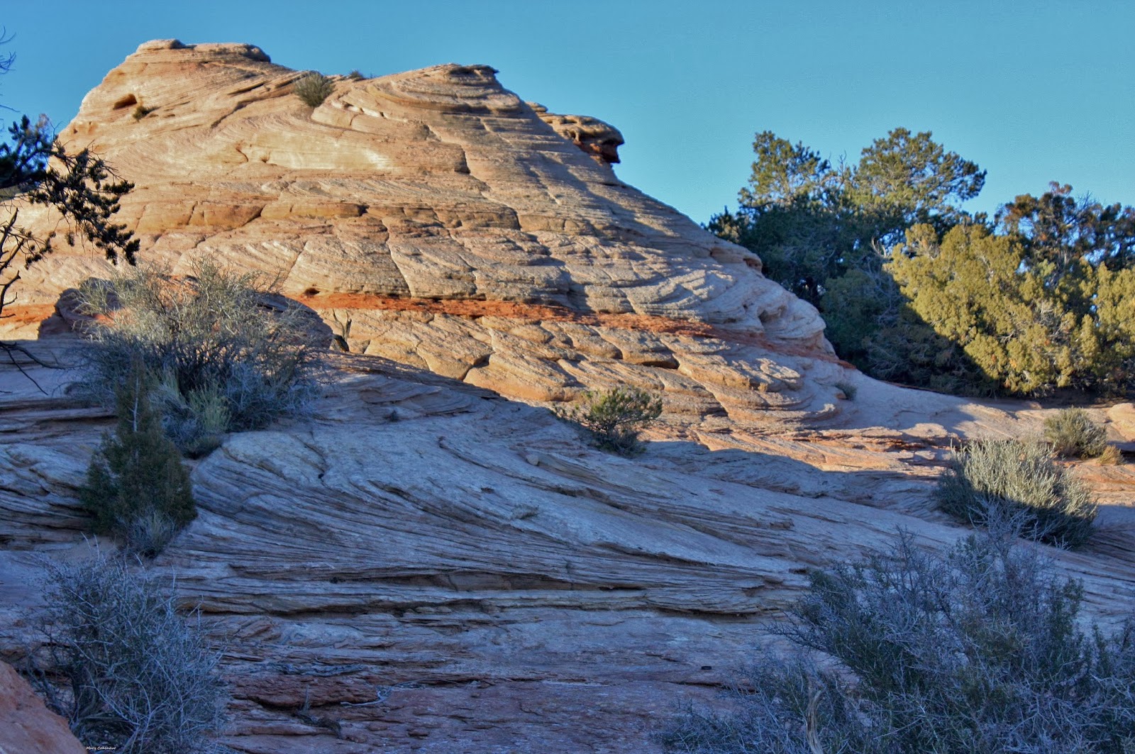 The Southwest Through Wide Brown Eyes: The Lone Rock Road Behind the ...