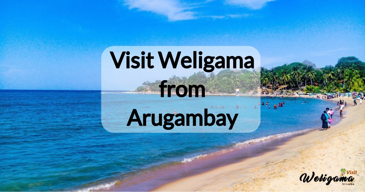 How to Visit Weligama from Arugambay | Visit Weligama