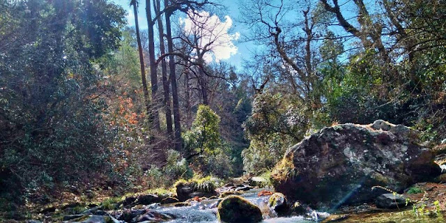 3 Nights 4 Days Backpacking Trip to Shergaon, one of the most beautiful ...