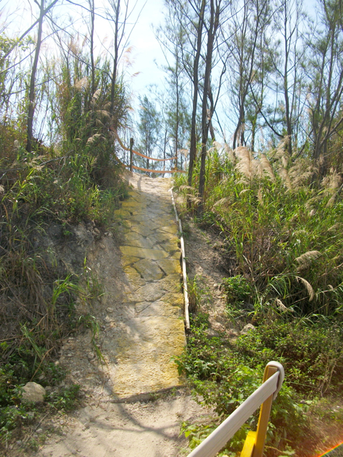 Chuck's Adventures: Biking Miami's Key Biscayne/Rickenbacker Trail