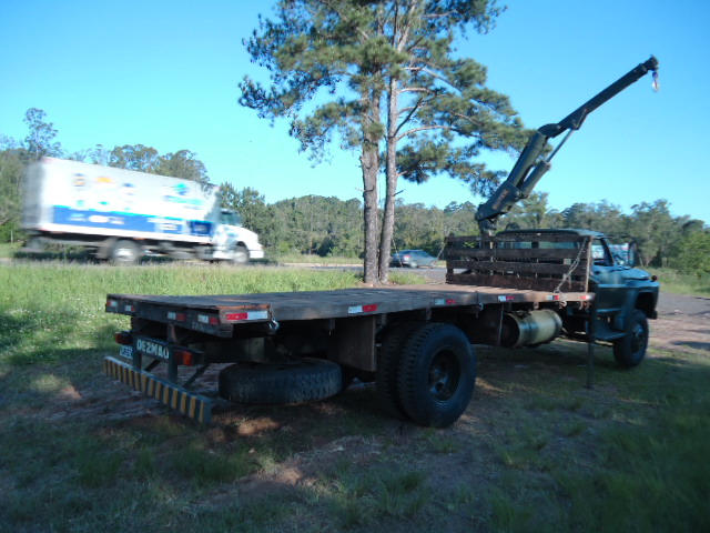 DEZMAQ: Ford F-11000 MUNCK E PRANCHA