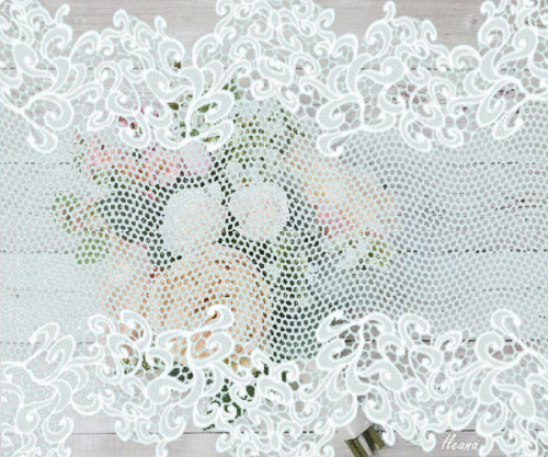 Having Fun With Images White Lace