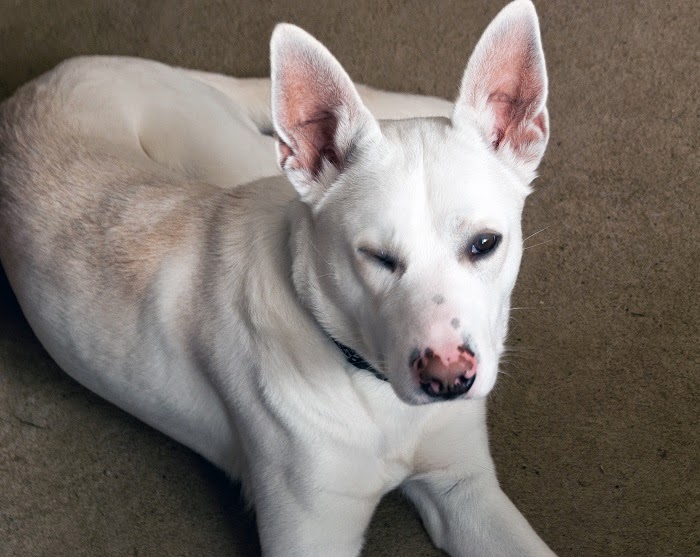 Me, Boomer and The Vermilon River: Bright Colours At The Vermilon River.