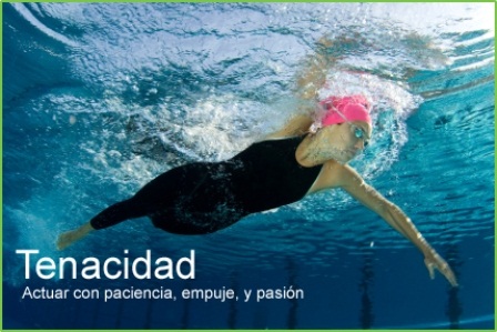 Proyecto MARES: 6 imágenes de tenacidad