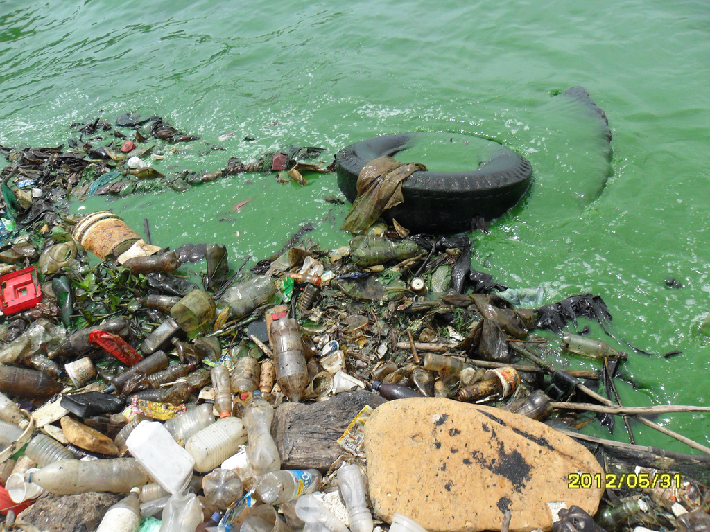 Contaminacion Ambiental: Contaminación del Agua