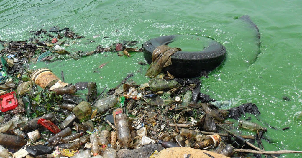 Contaminacion Ambiental: Contaminación del Agua