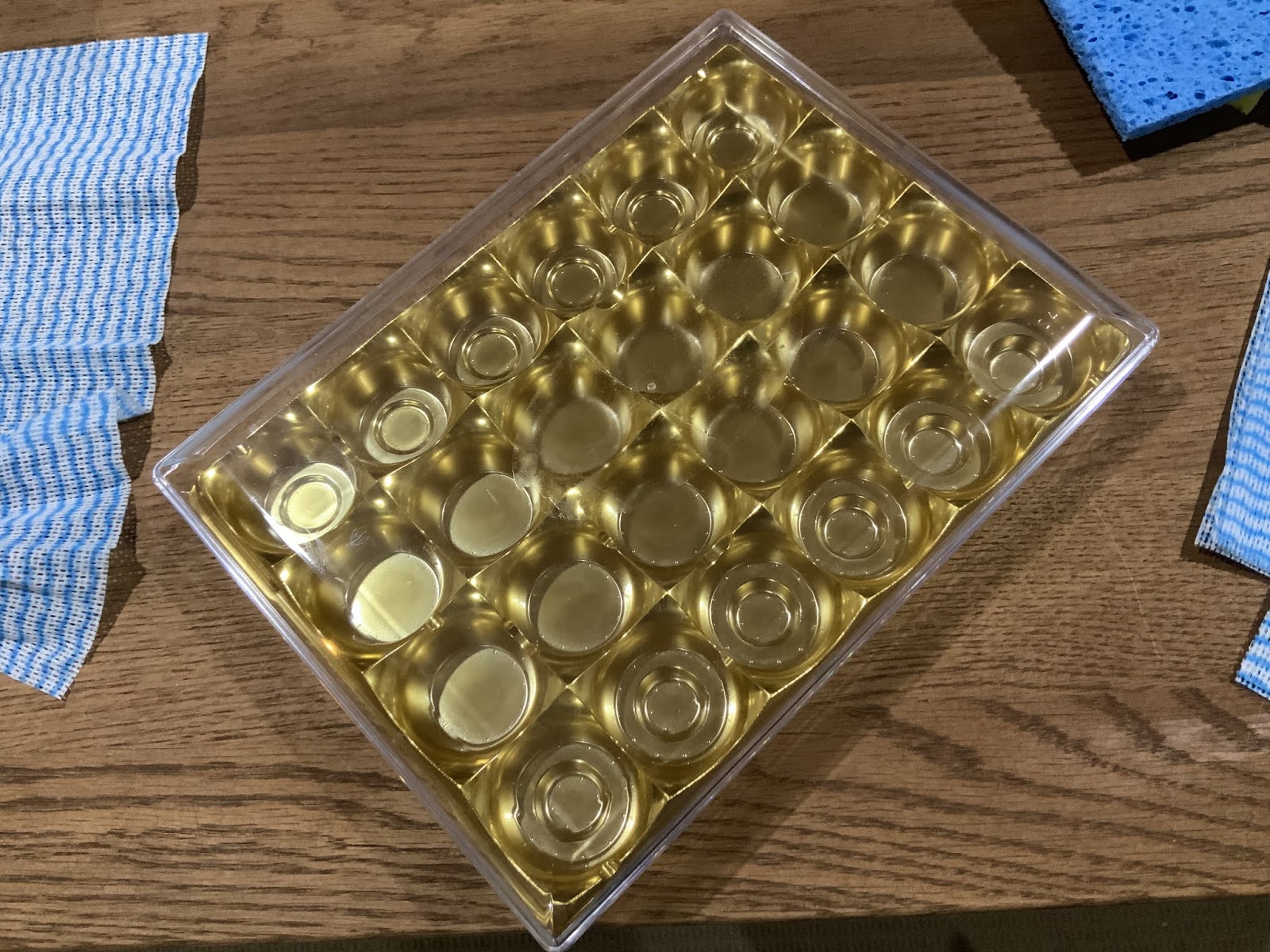 Mr Dads Minis: wet pallet - using Ferrero rocher container