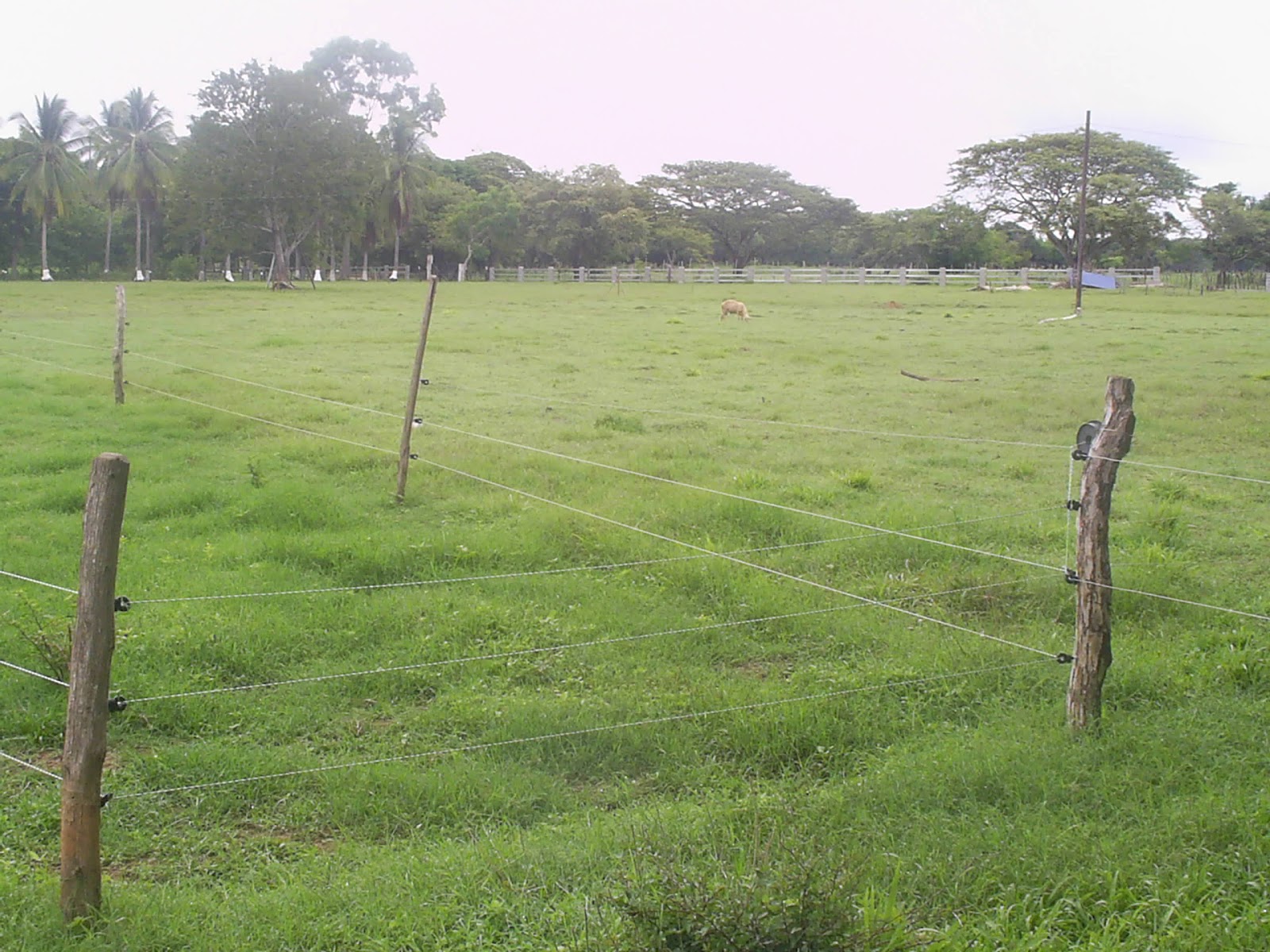 Haciendas Agroturisticas Pamel y Canajagua. : Agroturismo en La ...