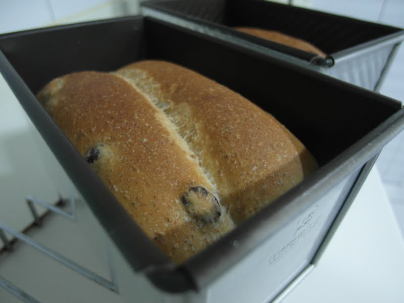 Pan con arándanos (masa madre y prefermento) - Mis recetas favoritas by ...