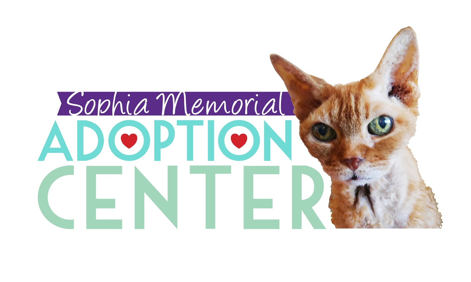 Lady Luck Animal Rescue, Inc.: About Us