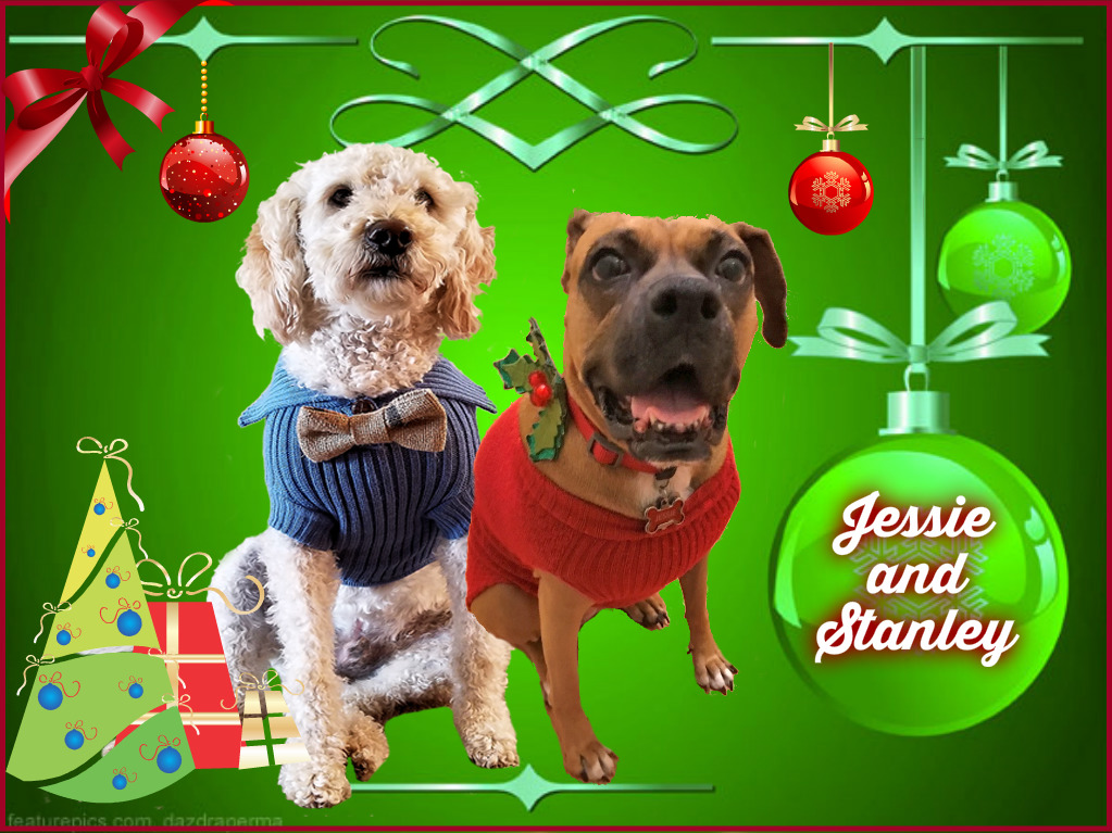 Adventures of the LLB Gang: Happy Birthday Dory!!