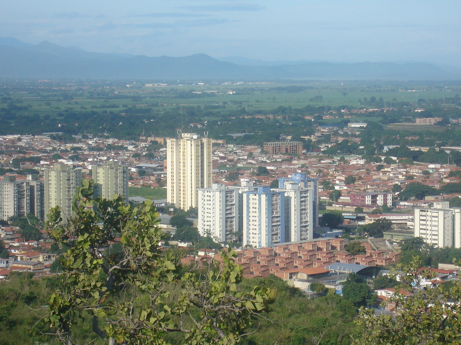 TURMERO PARA SIEMPRE