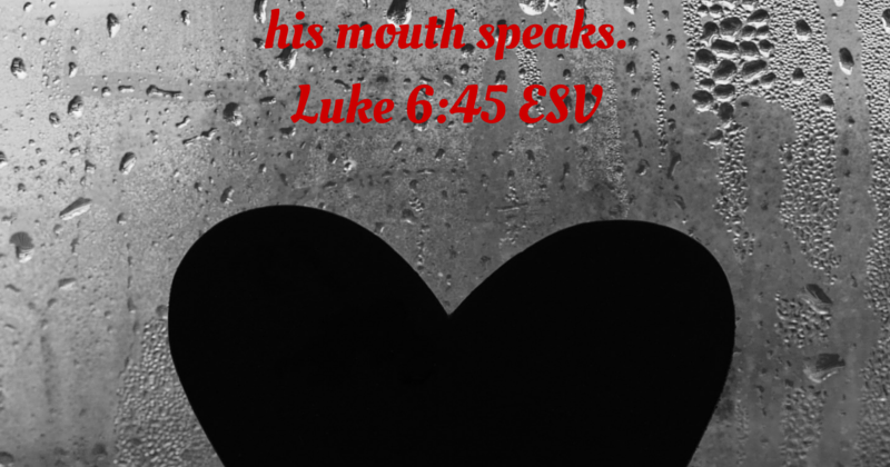 Aimee Bartis: Overflow of the heart