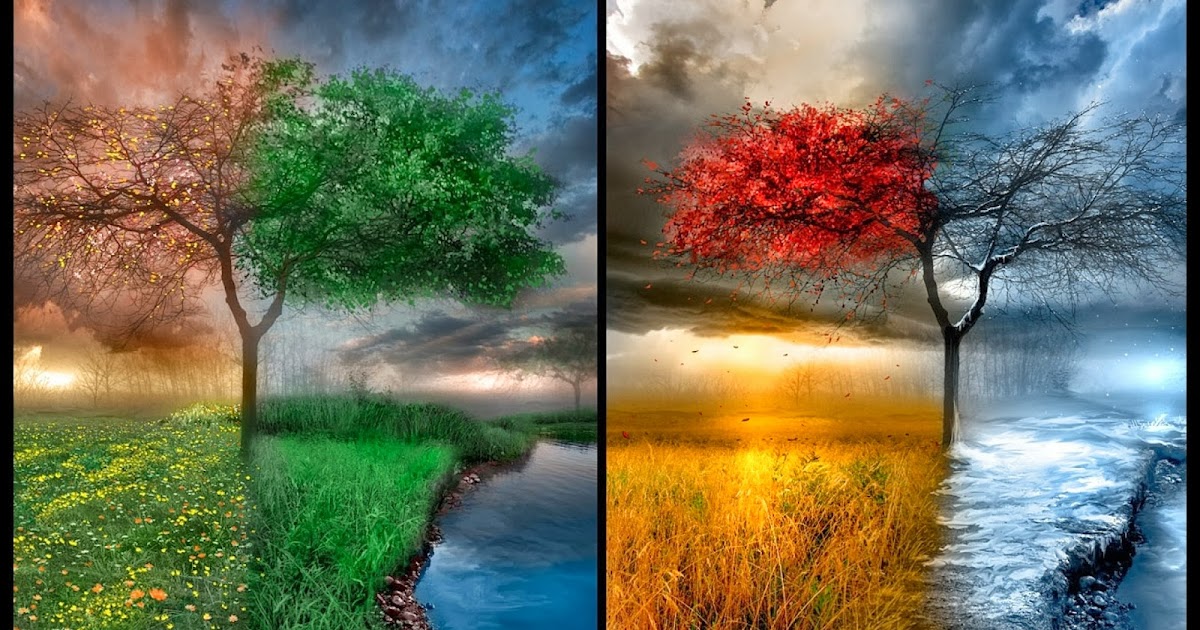 Adaptate a los cambios