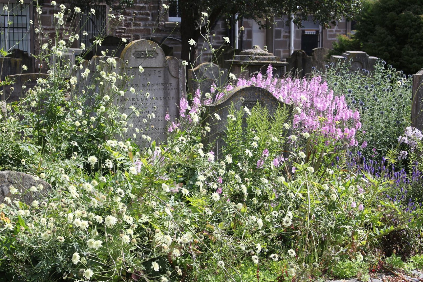 emuse: Dundee Howff cemetery