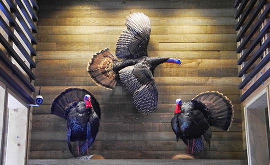 Gastronomista: Wild Turkey Behind the Barrel