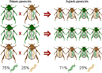 EL MUNDO CIENTÍFICO: MICROEVOLUCIÓN