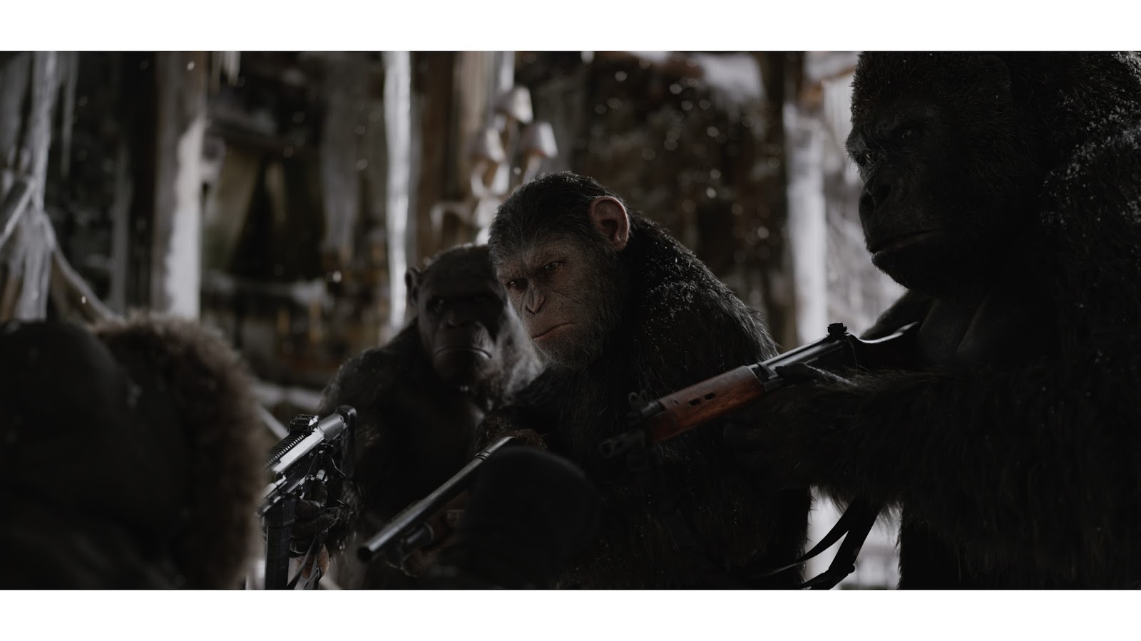 At Darren's World of Entertainment: War for the Planet of the Apes: Blu ...