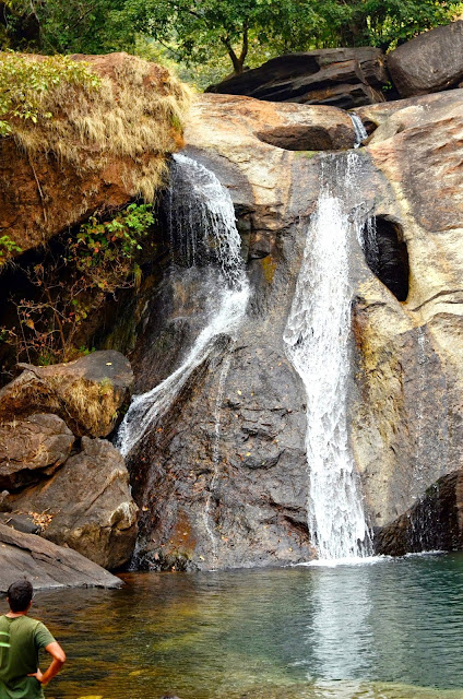 Live Experience : Another Expedition in the Gerry Martin Wildlife ...