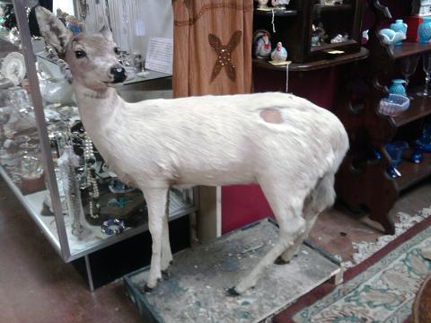 Brenda's Blog: MY 1 Year Anniversary!!! LoneStar Antique Mall, Fort ...