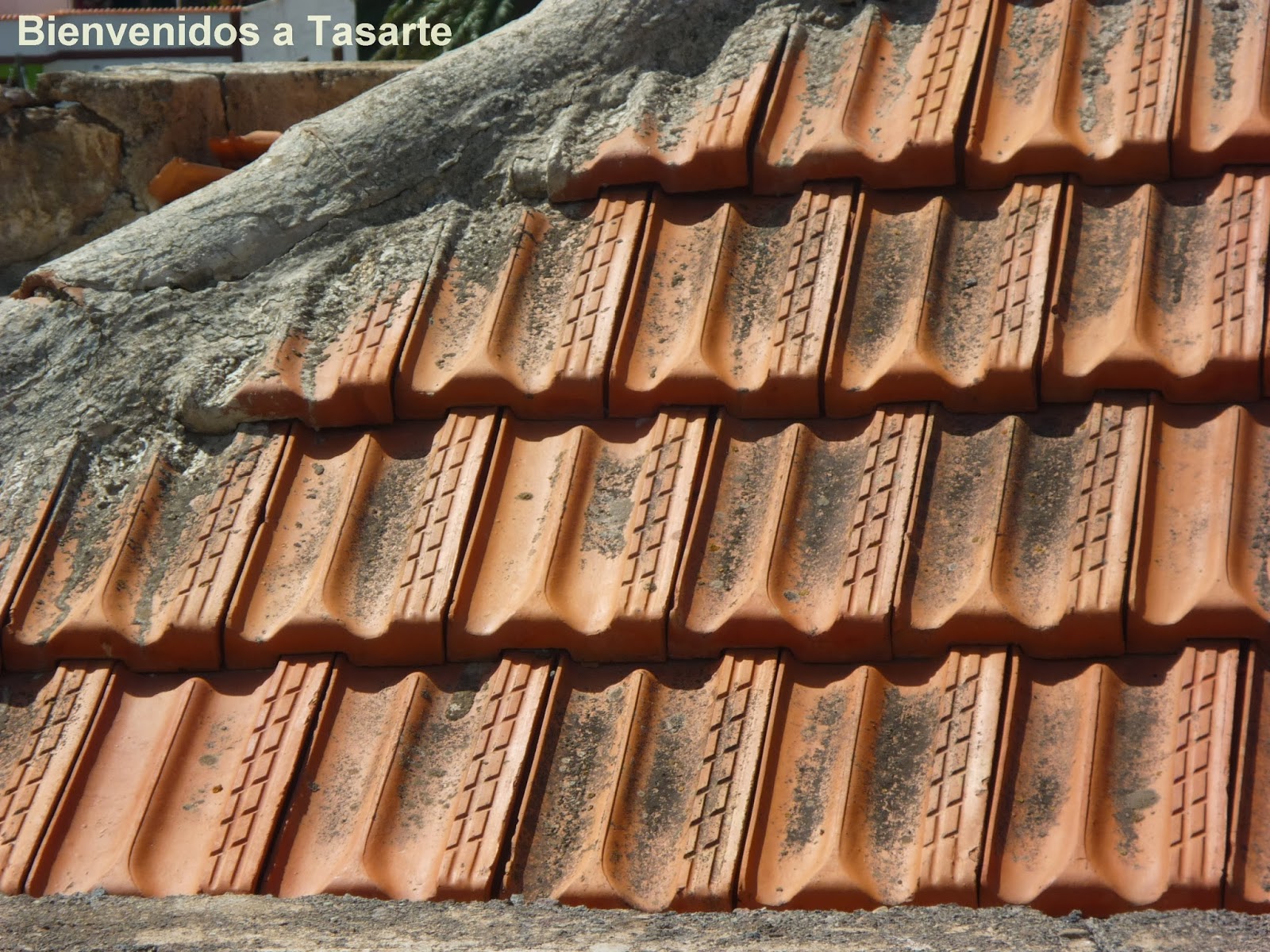 Bienvenidos a Tasarte: Hornos de Teja en Tasarte.