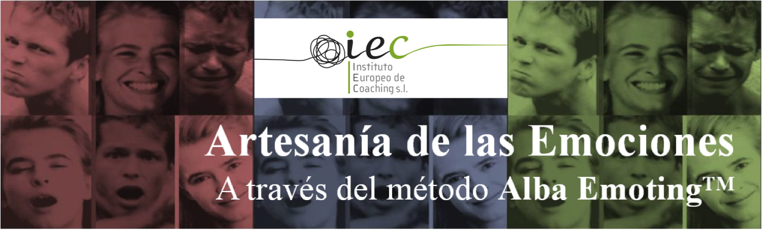 Coaching: Curso de Artesanía de las Emociones, con el método Alba ...
