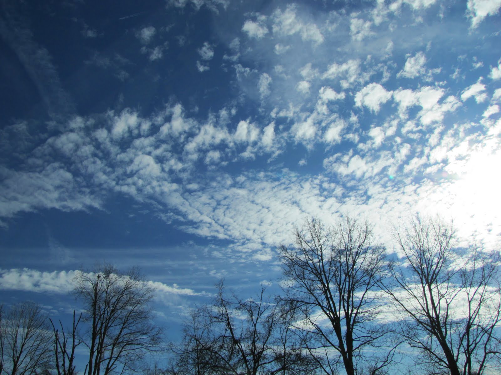 Tidbits of Joy: Beautiful winter sky