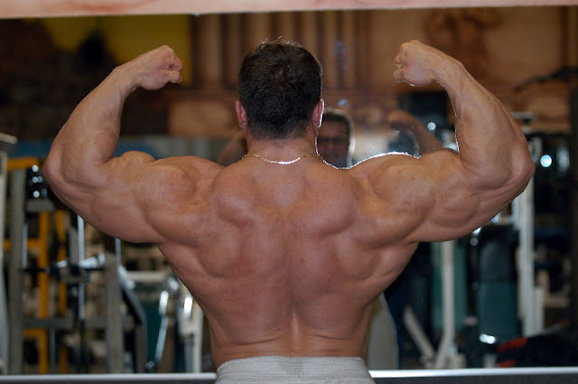mr olympia 2012, mr olympia 2012 predictions, mr olympia 2012 winner ...