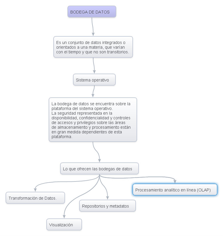 Paola Ramirez: Bodega de Datos