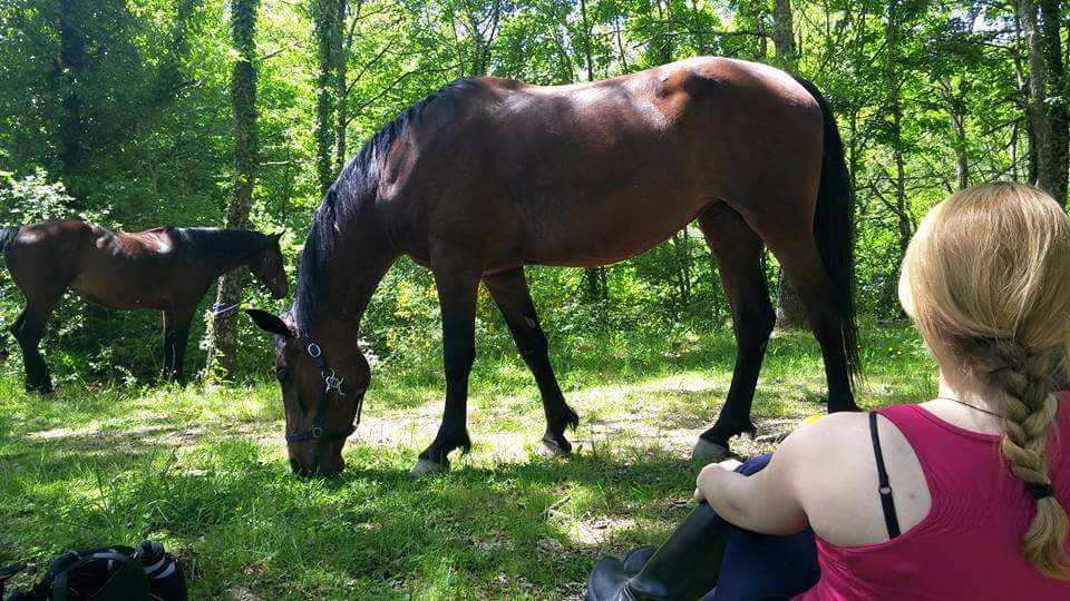 Horse riding in Tuscany Italy: Horseback trail ride in Tuscany Italy