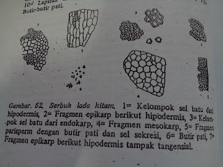 PIPERIS NIGRI FRUCTUS | F.NOSI MIKROSKOPIS