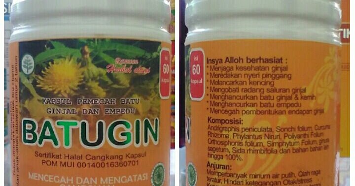 JUAL KAPSUL BATUGIN "HERBAL BATU GINJAL DAN EMPEDU" DI TEGAL BREBES ...