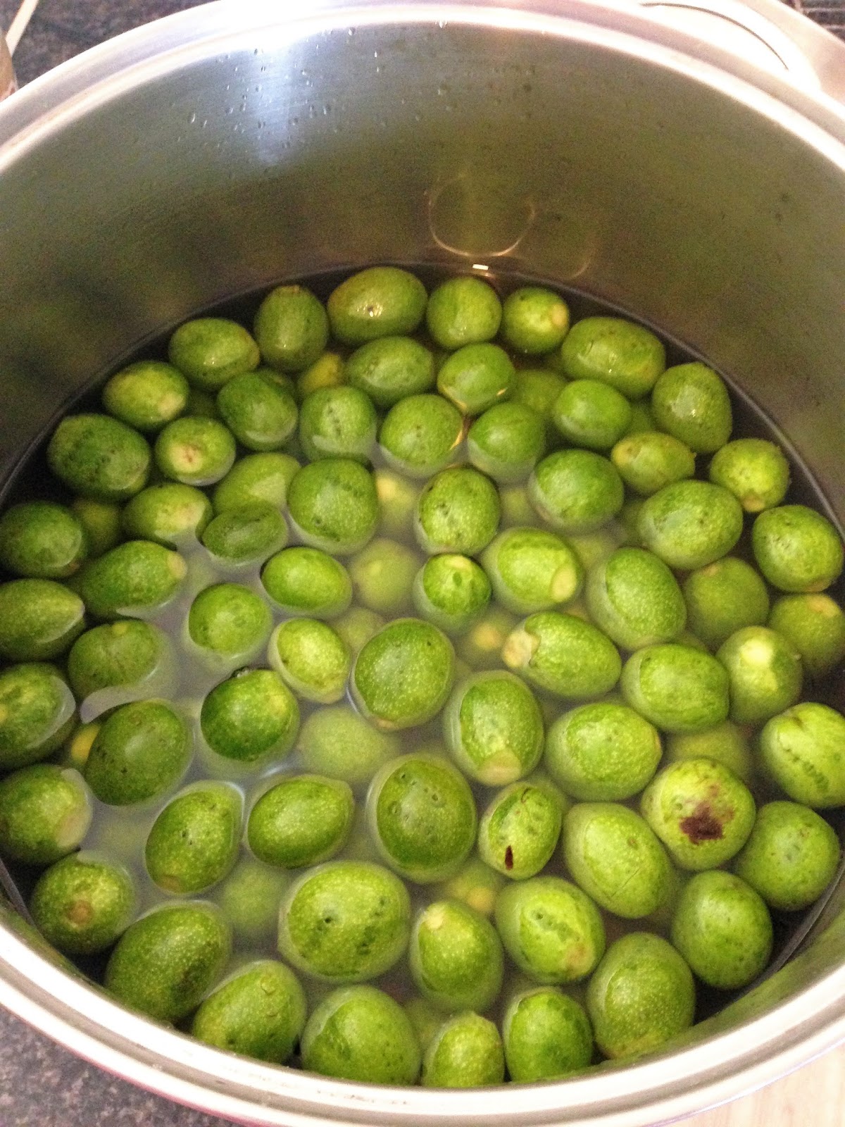 Down on the Allotment: How to Pickle Walnuts - Part 1