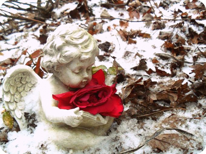 town and prairie: Snow Angel