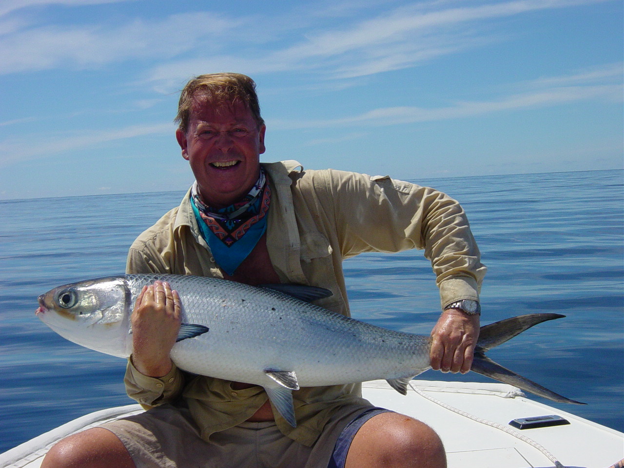 Indonesia Milkfish Factory, How to Fillet Milkfish, Fresh Milkfish ...