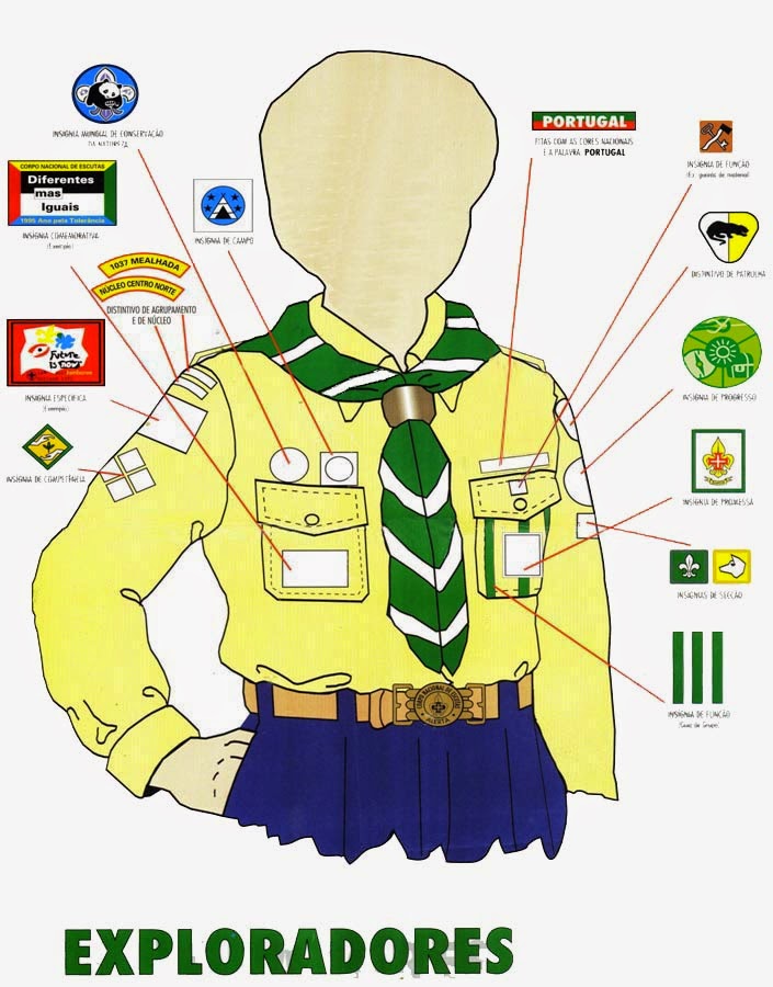 CNE - Agrupamento 412 Alfragide: Uniforme - Insígnias
