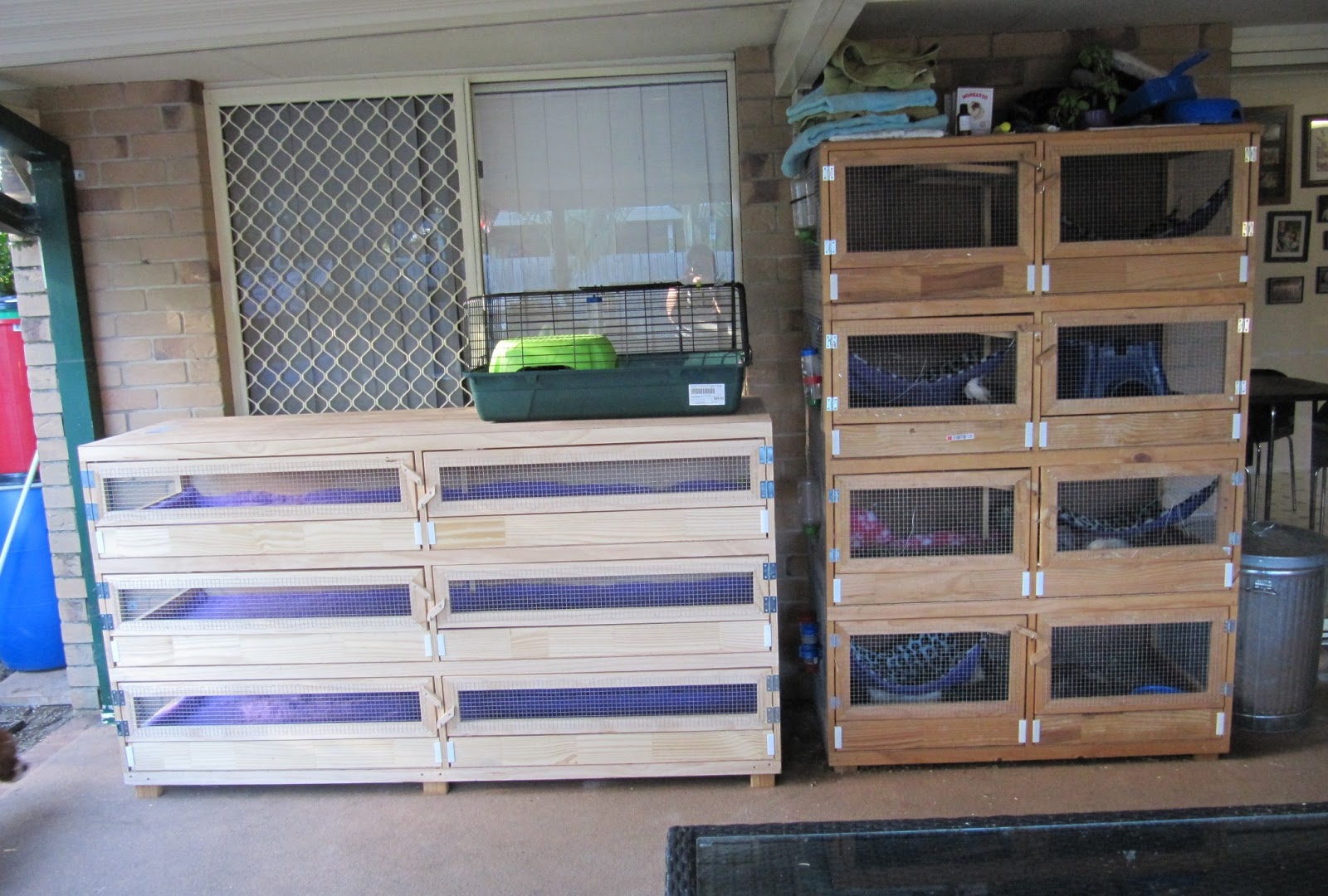 All Things Guinea Pig: Caviary Setup