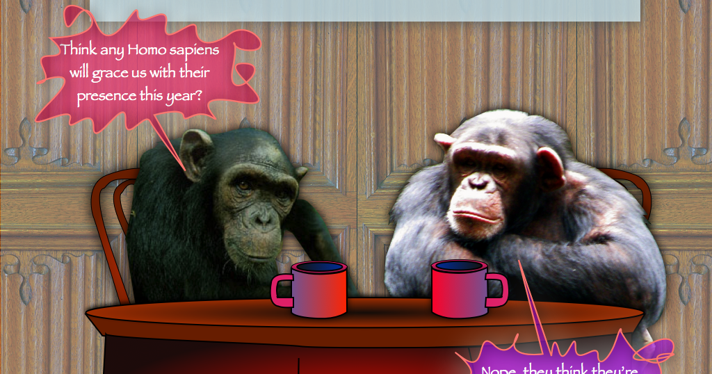 Evolving Perspectives: Tom Foolery