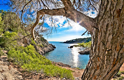 Baleares: Las mejores calas de Ibiza (I). Cala Salada, Cala Vadella ...