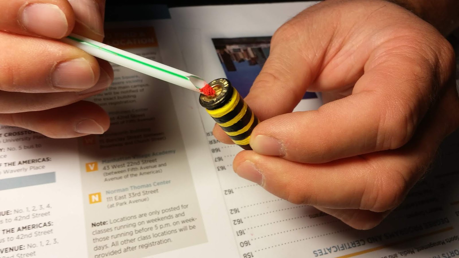 Your Brush With The Law: Charles Sabba's Artworks: Chapt 12: Bullet Bees