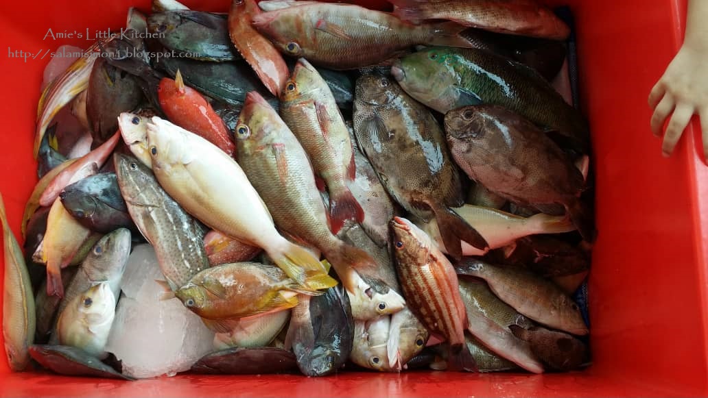 Jalan-Jalan Cari Ikan di Tabanac Freshmart - Amie's Little Kitchen
