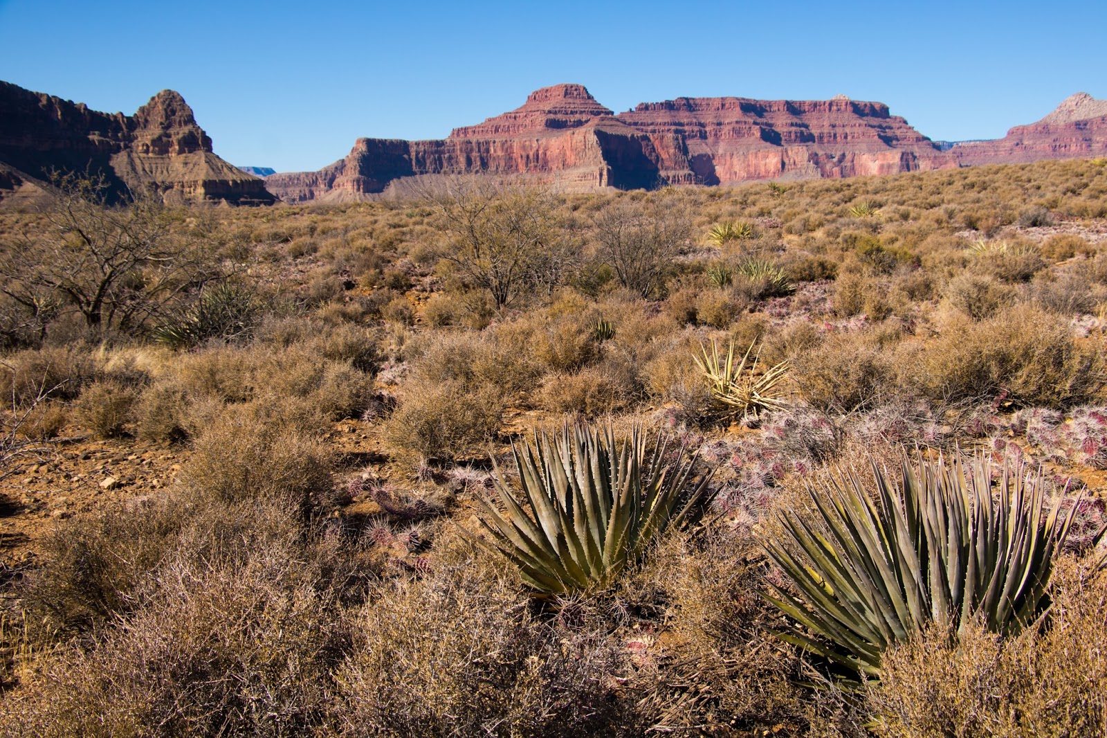 Hiking Shenandoah: Plateau Point (Bright Angel Trail)