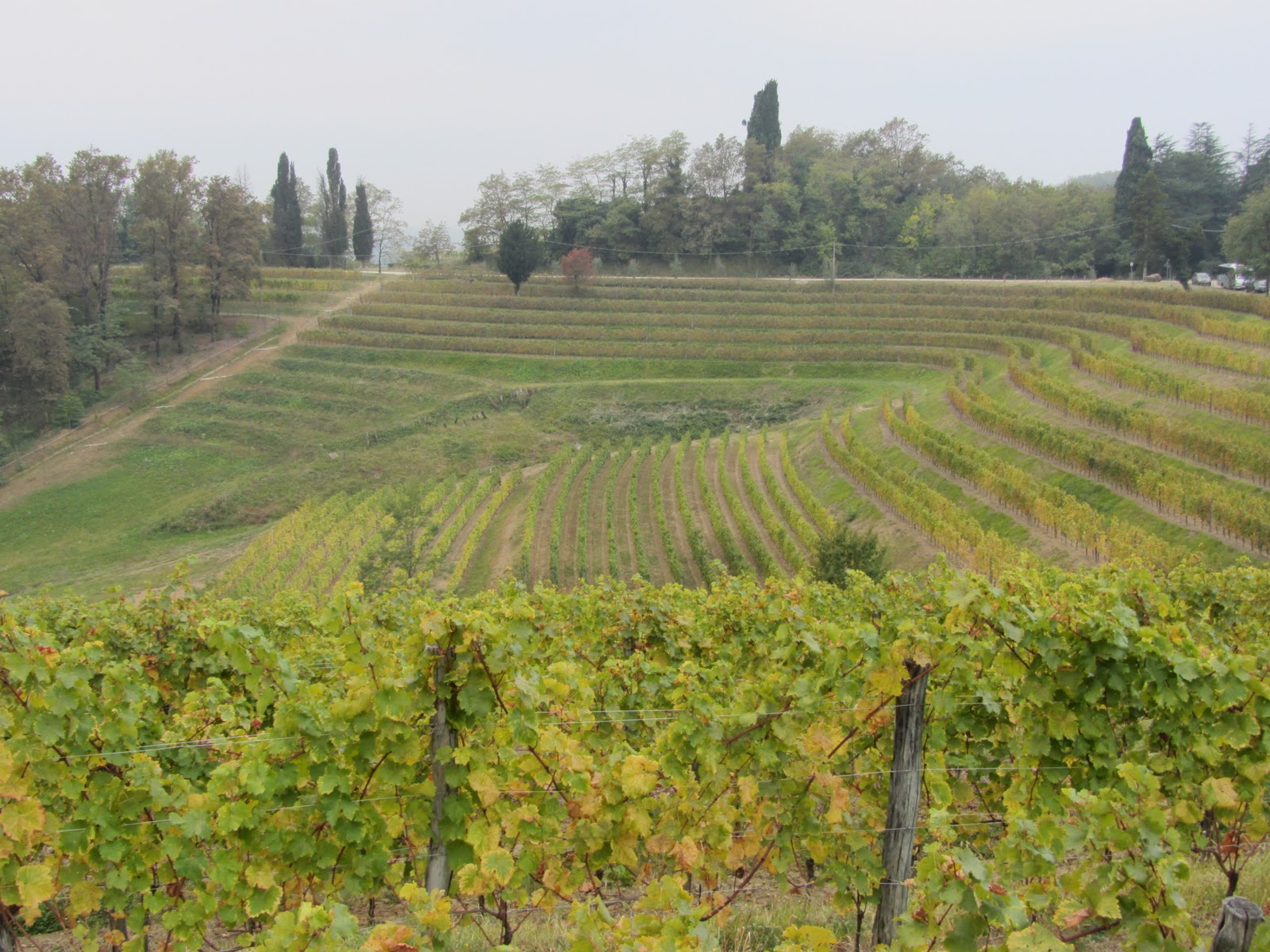 Wine -- Mise en abyme: Colli Orientali del Friuli Sub-Region of Friuli ...