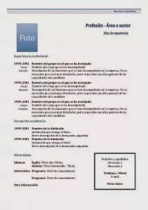 Curriculum Vitae: Definición y clases