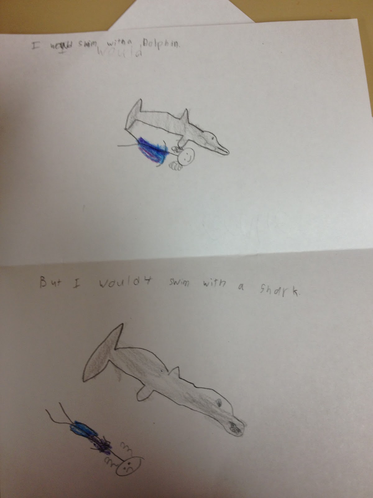 Teaching with Mrs. Hooper: Author Study- Mem Fox