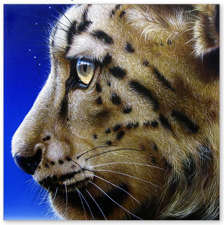 White Wolf : Jurek Zamoyski - Polish Born Wildlife Artist Extraordinaire