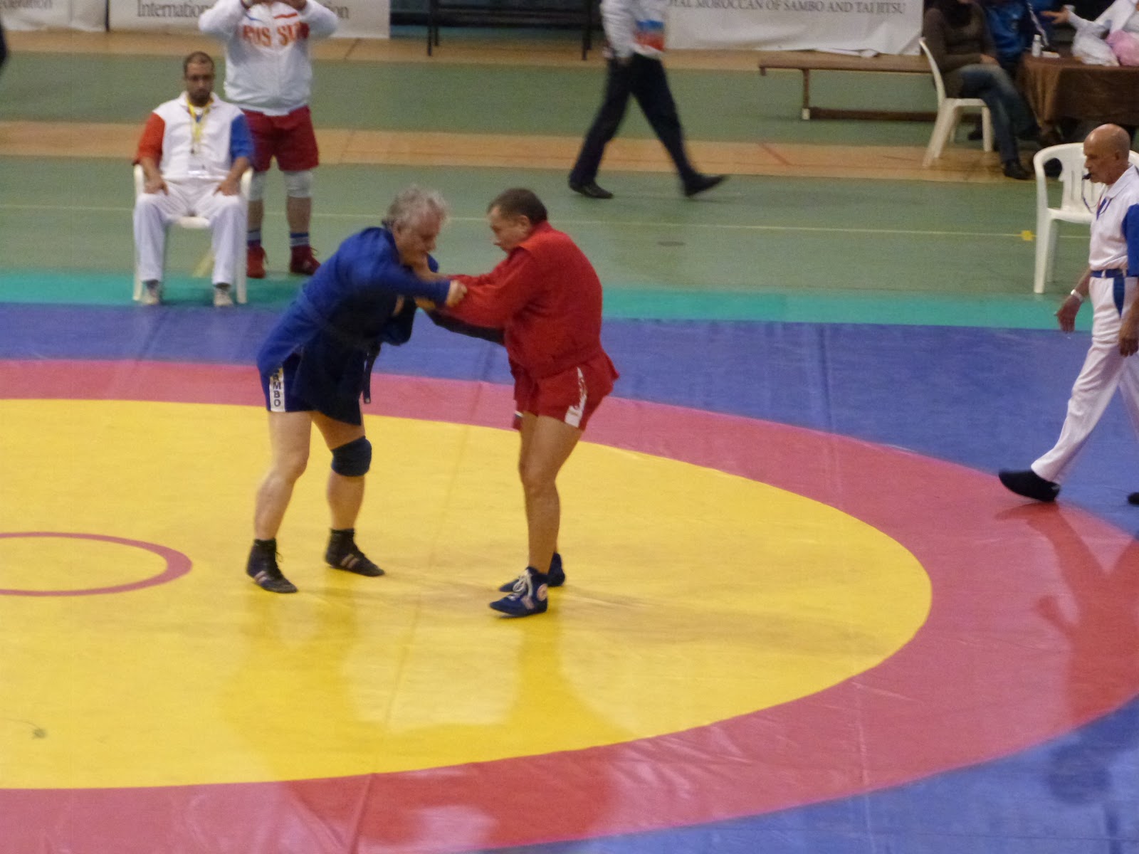 Combatarts: World Sambo Masters 2012