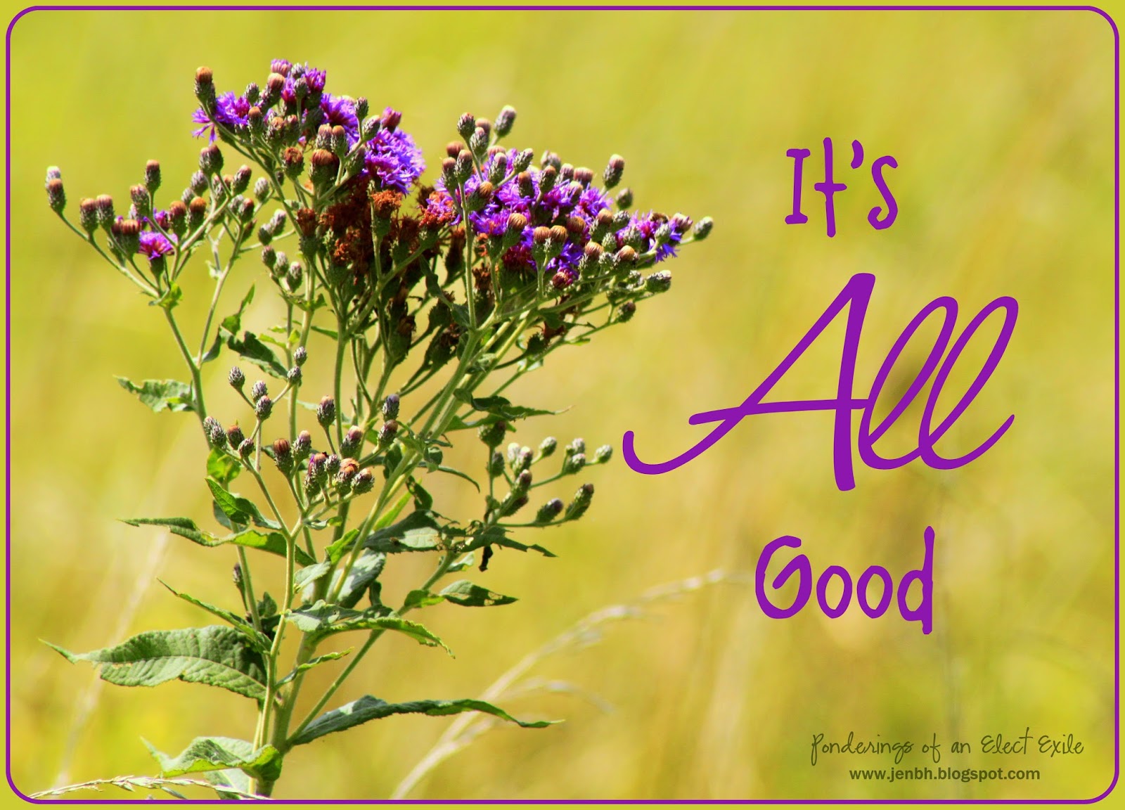 Ponderings of an Elect Exile: "It's All Good"