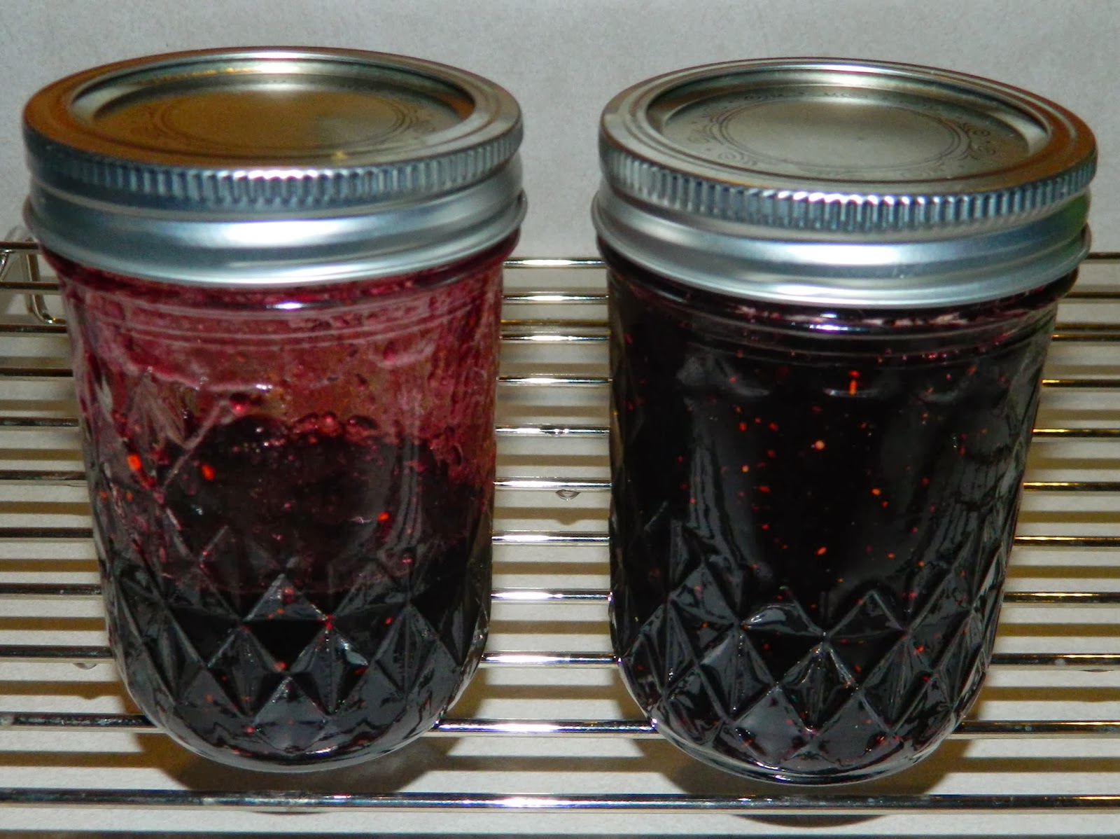 Lise's Log Cabin Life: Sticky Jam Fix